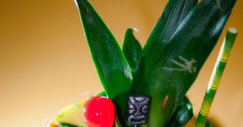 Garnishes The Size of Your Head: An Exotic Cocktail Journey: Cocktail ...