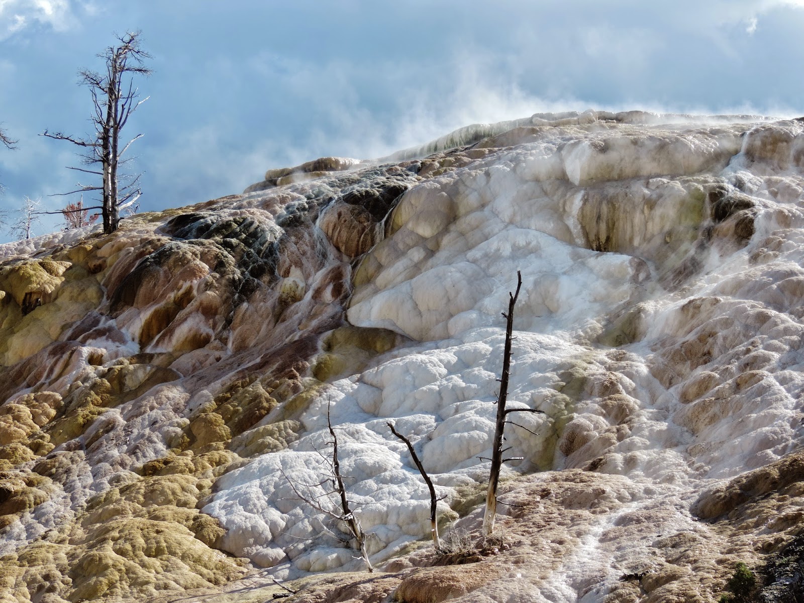 2015 TRAVELS : BOZEMAN TO YELLOWSTONE NATIONAL PARK WYOMING