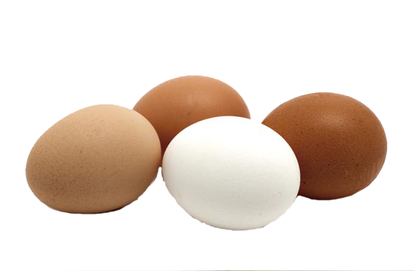 Chef in da house: Ous