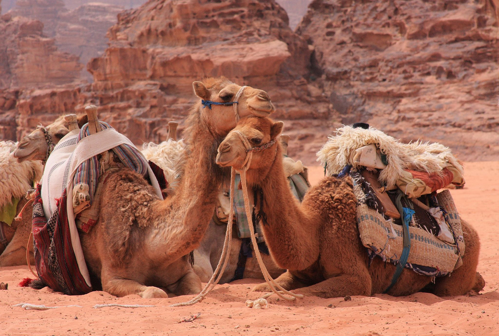 Alam Mengembang Jadi Guru: Apakah Kamu tdk Memperhatikan, Bagaimana ...