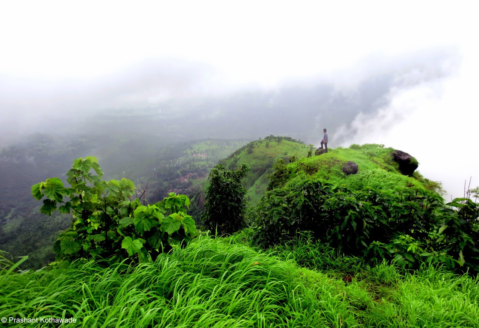 Prashant Kothawade's blogs: Mangalgad/Kangorigad - A hike amidst mist ...