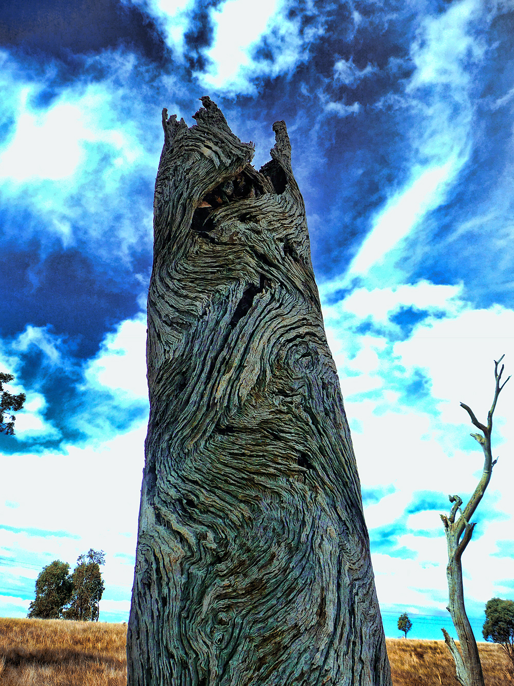 The Clarke's Aussie Adventure: 14 April 2011 - Cabonne Country Caravan ...