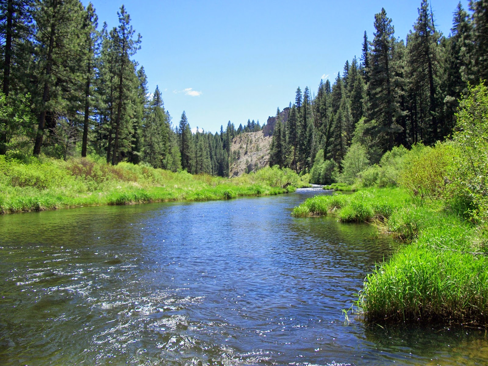 Jon Baiocchi Fly Fishing News: Middle Fork Feather River Fishing Report ...