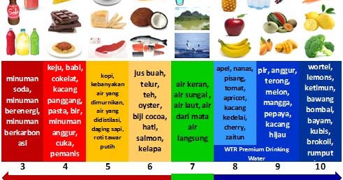 Jenis Makanan yang Bersifat Asam dan Basa - KANGEN WATER KEBUMEN