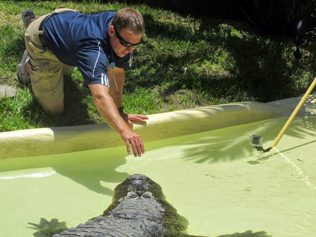 Amusement Park... Stuff: Gator Spot at Fun Spot!