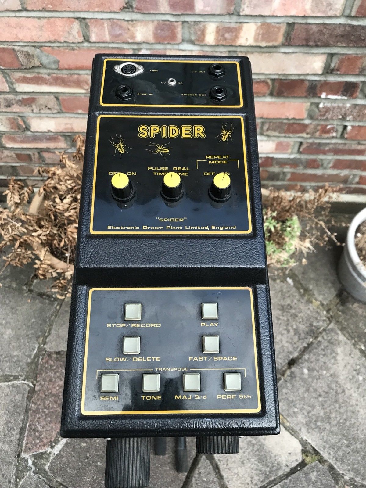 MATRIXSYNTH: DP WASP SYNTH & SPIDER SEQUENCER w/ Extras