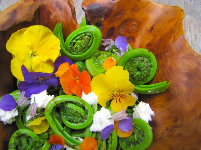 Diane Carnevale: Fiddlehead fern and goat cheese salad