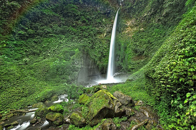 Wisata Air Terjun Coban Pelangi Di Malang
