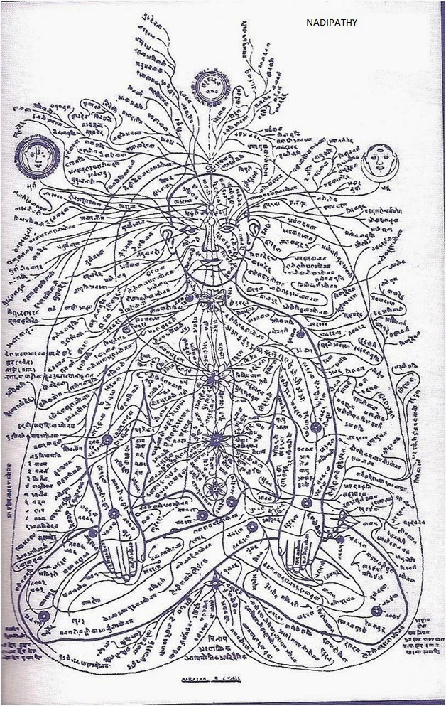Chakra and the Nadis System