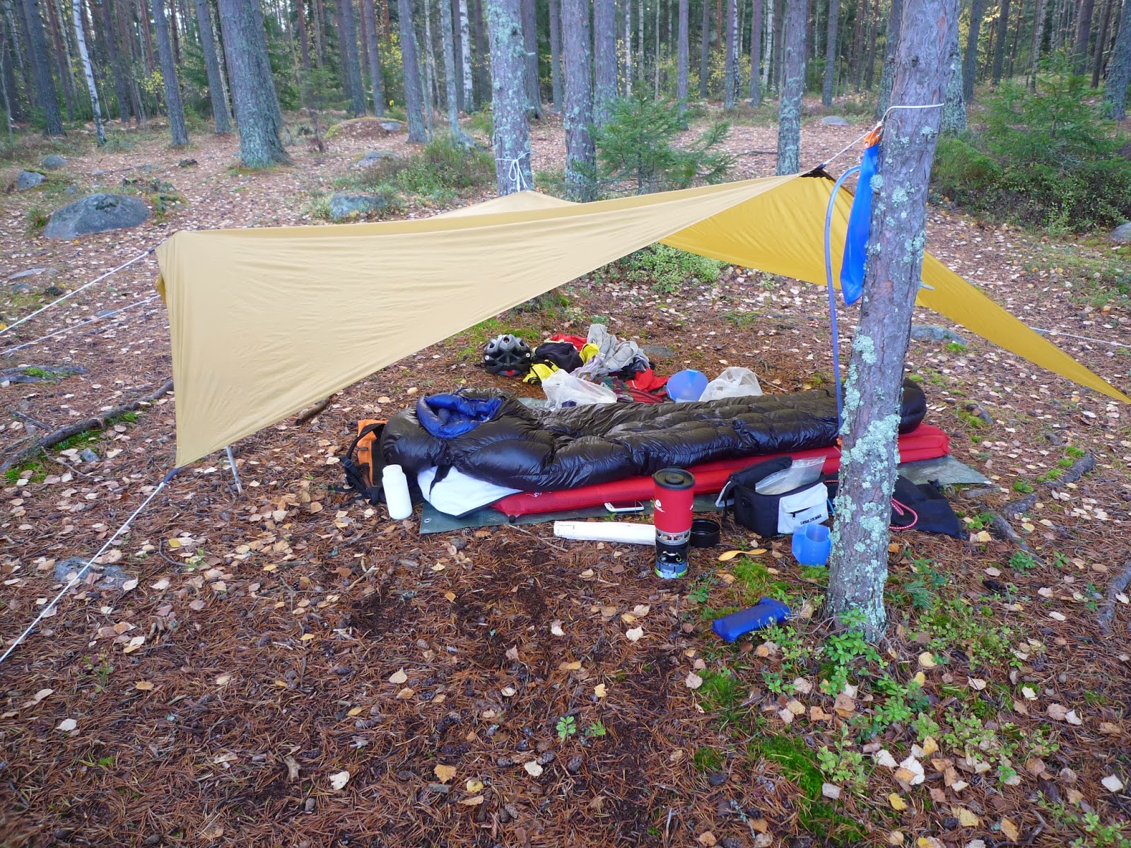 Northern Light – chilled thoughts from the top of Europe: Physics you ...