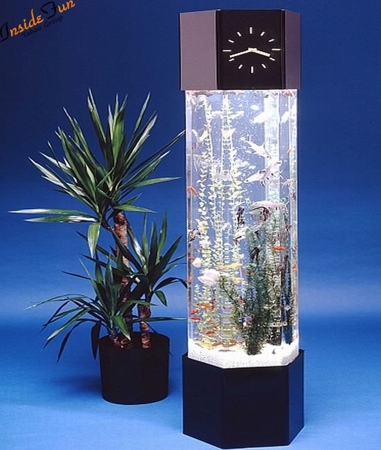 Most Unusual and Creative Fish Tanks — Nice Pics