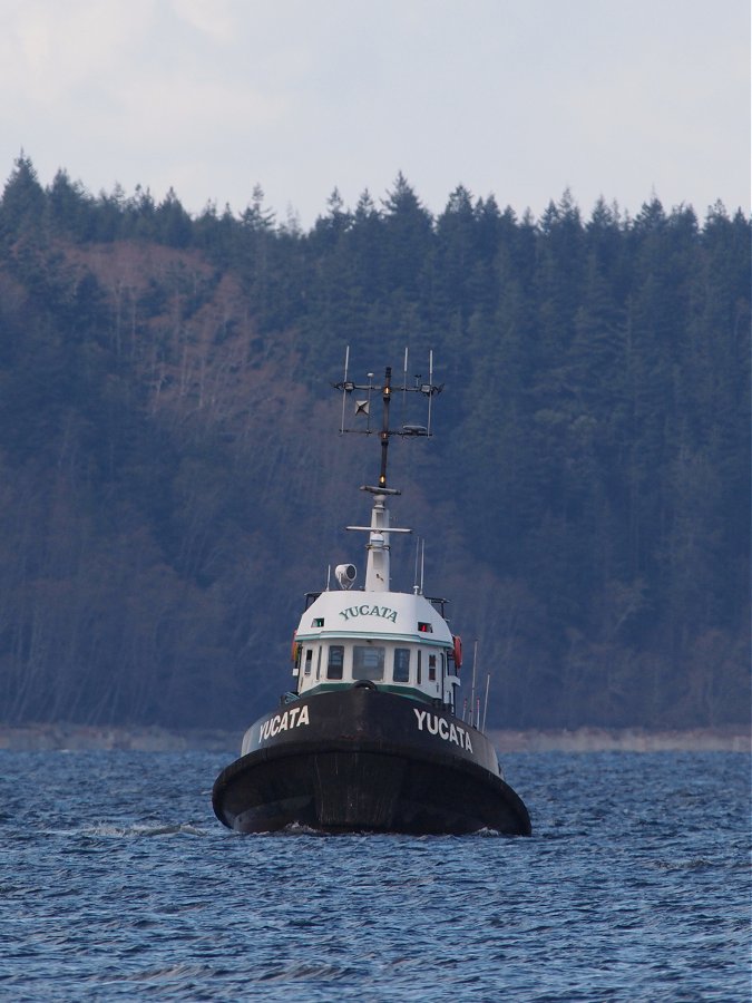 Tugboats, Tugboats, Tugboats: Yucata