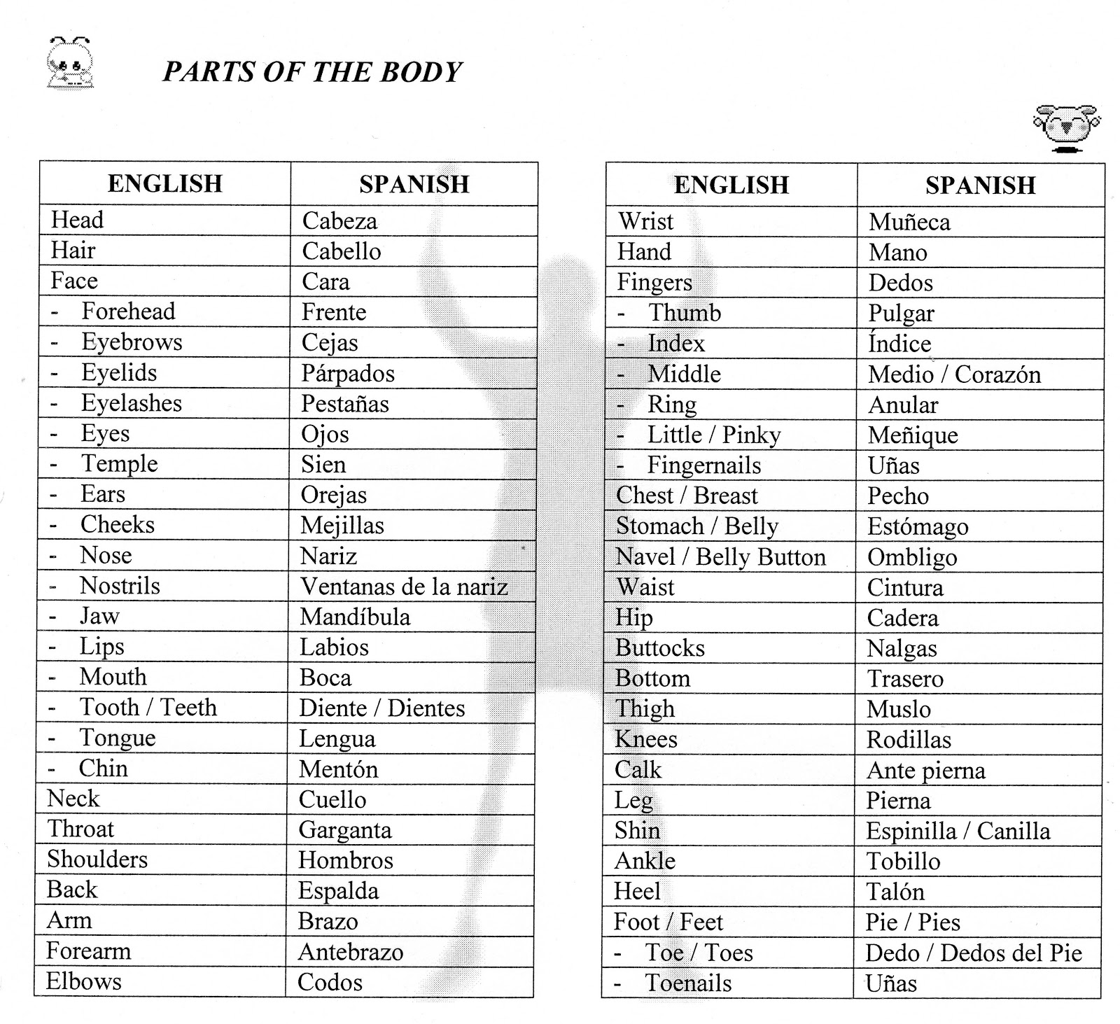 Parts Of The Body English Teacher O Prof De Fran ais Parts Of The Body English Teacher O Prof De Fran ais