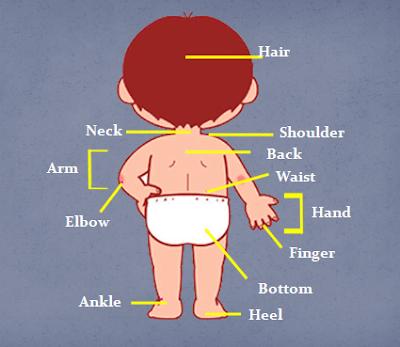 Oh! My English: Parts of the human body..