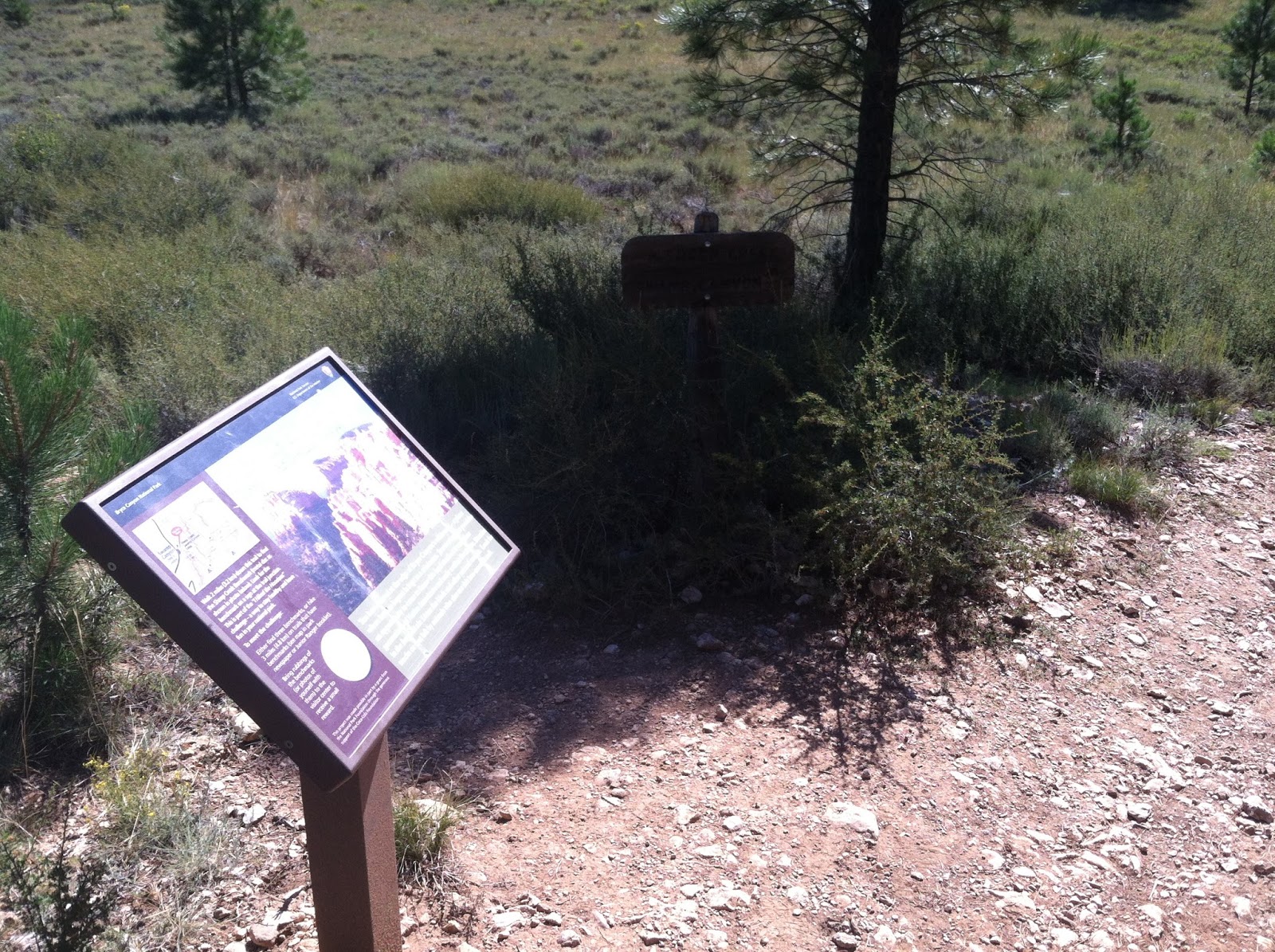 Myatt's Hikes: Sheep Creek and Swamp Canyon Connector Trail Loop, Bryce ...