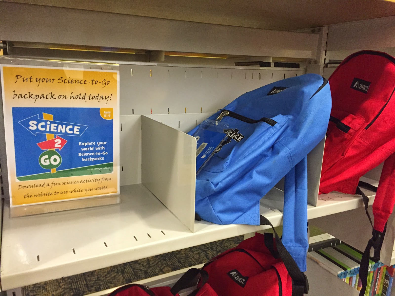 Destination Libraries: Holly Black Visits University Place Library