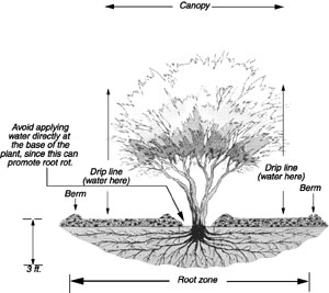 Green with Envy, Inc. - Landscaping, Lawn Care / Maintenance and Snow ...