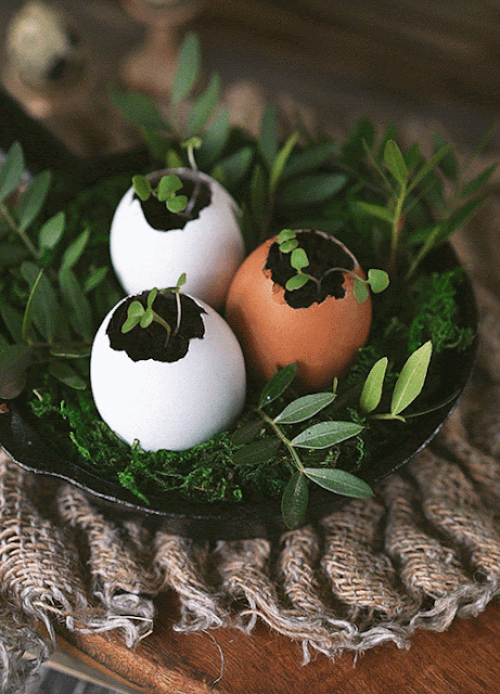 Content in a Cottage: Eggshell Seed Starters