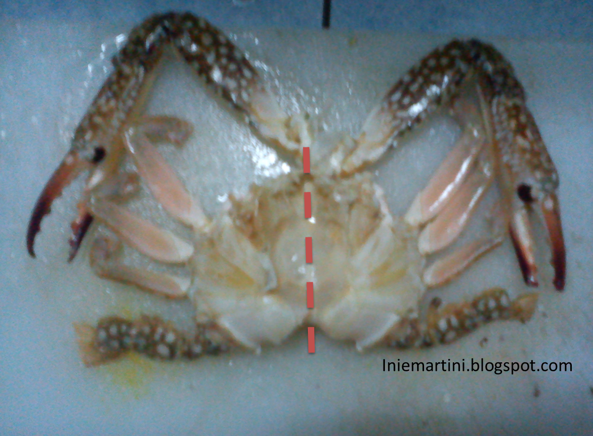 Senyum macam saya.!: Cara-cara siang ketam dengan mudah