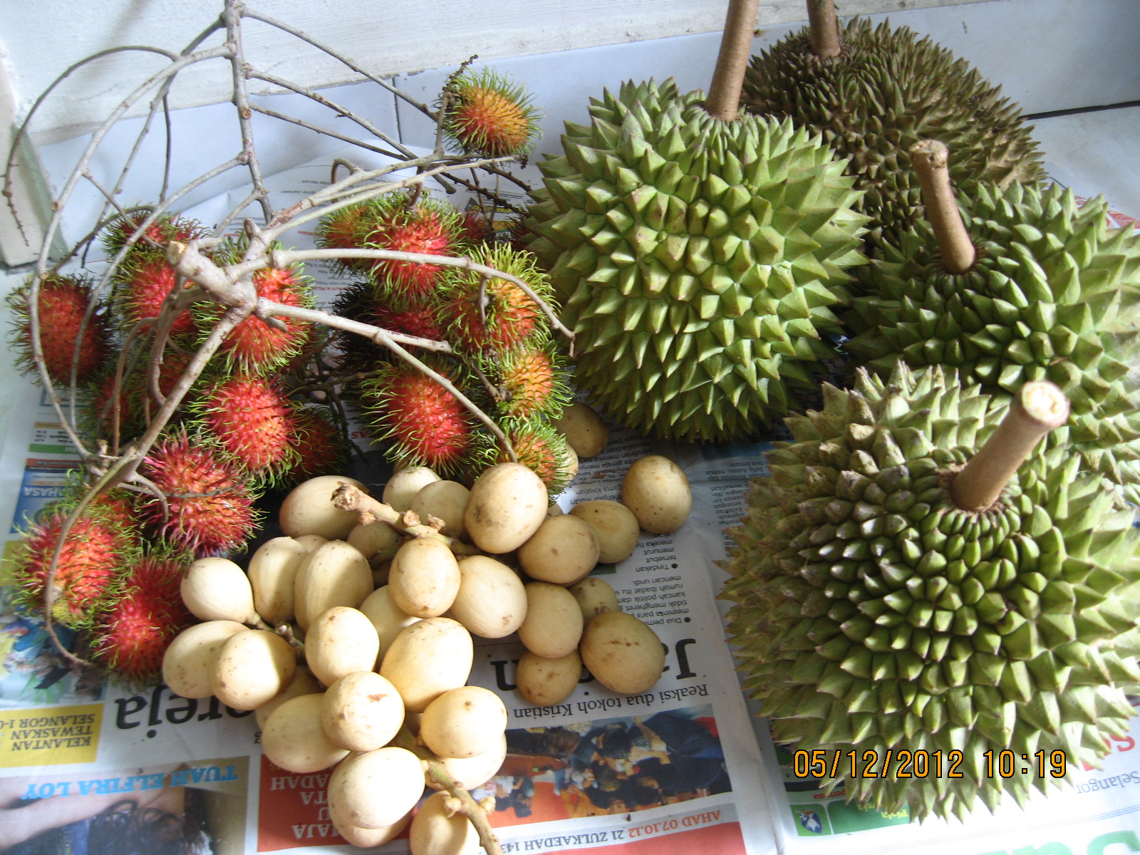 relakslah sekejap : cuit apa yang patut: TENGAH MALAM CARI BUAH DURIAN ...