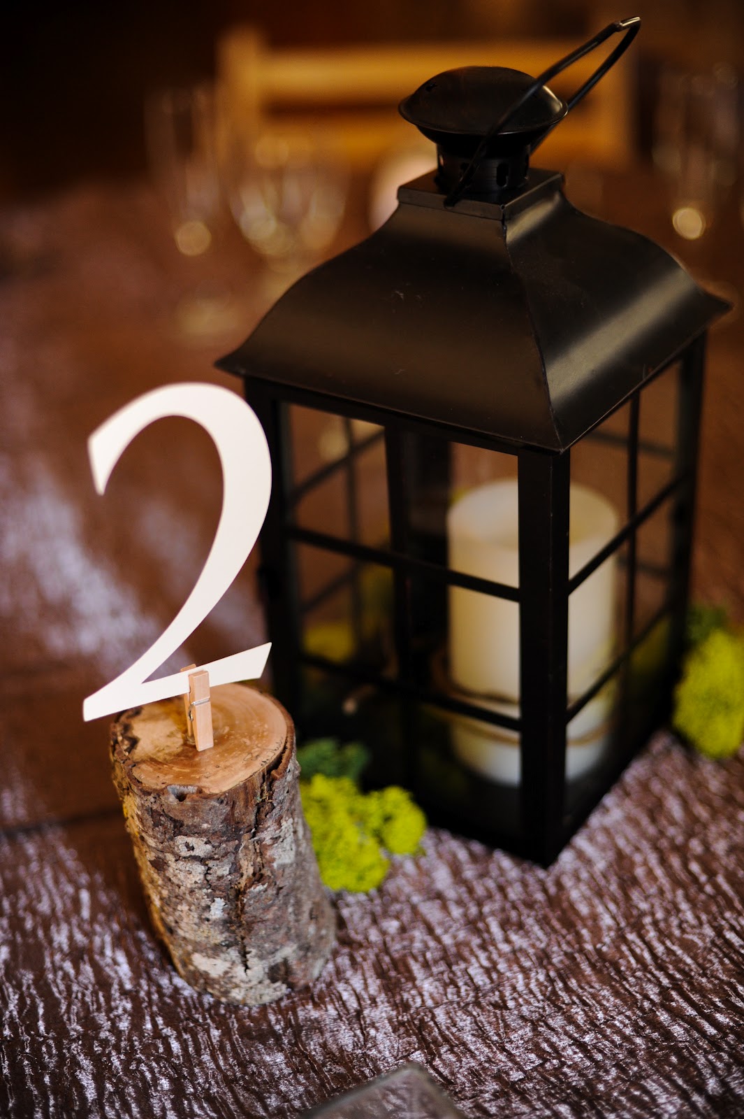 Storybook in the Sierras: Legacy Wedding