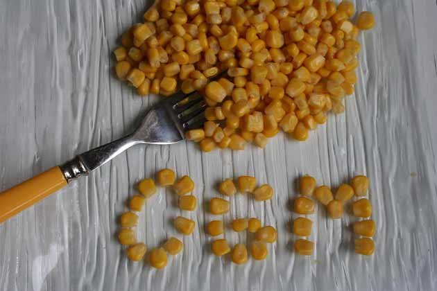 Les OGM ~ Bien être