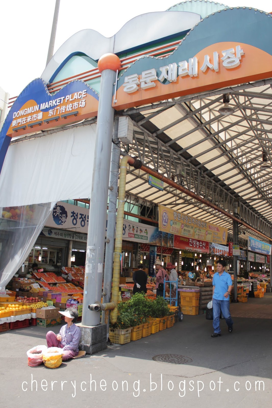 Jeju 2013 Self-drive Guide | cherryxcheong