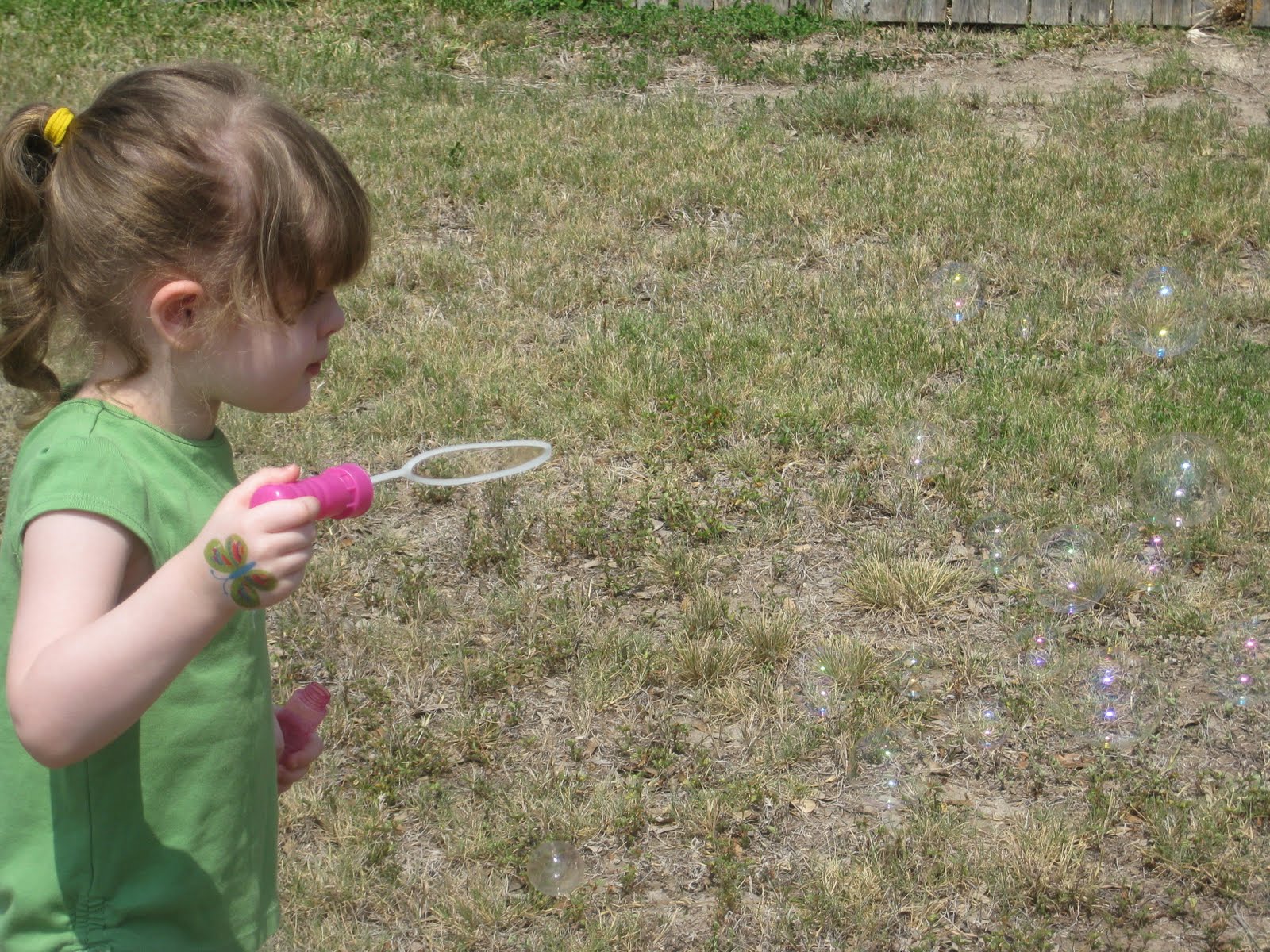 Gee! It's the Gee Family!: Camp Mimi, 2011