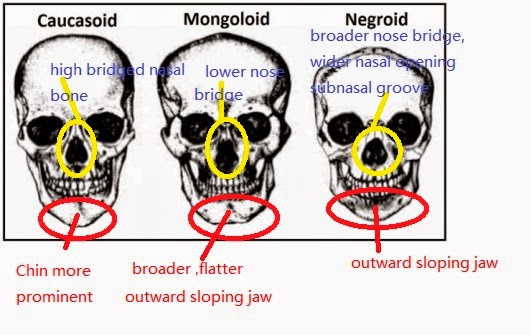 Dental Investigators: 4.1 Secret that Lies in Bones