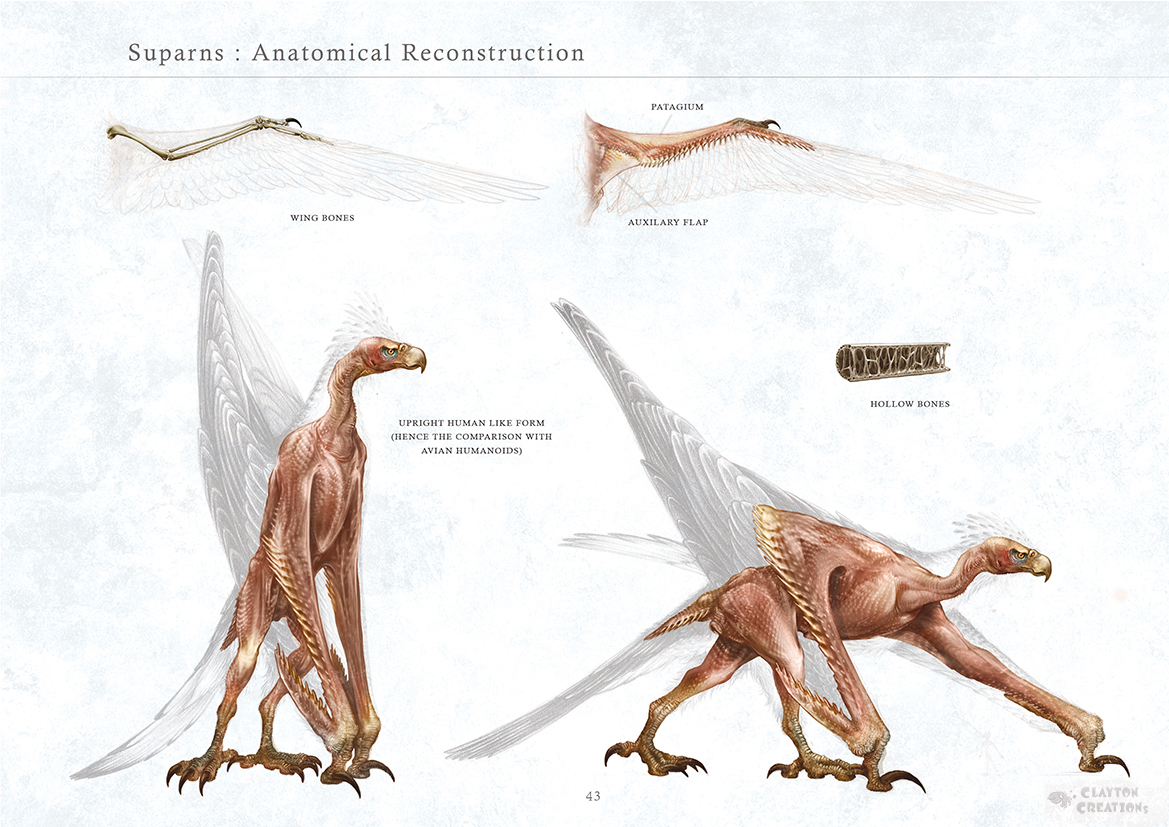 claytoncreations: MYTHOLOGICAL BEAST AND ANATOMY