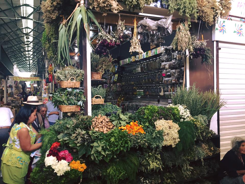 Mercado Benito Juarez, Oaxaca (Información) - Vive Oaxaca