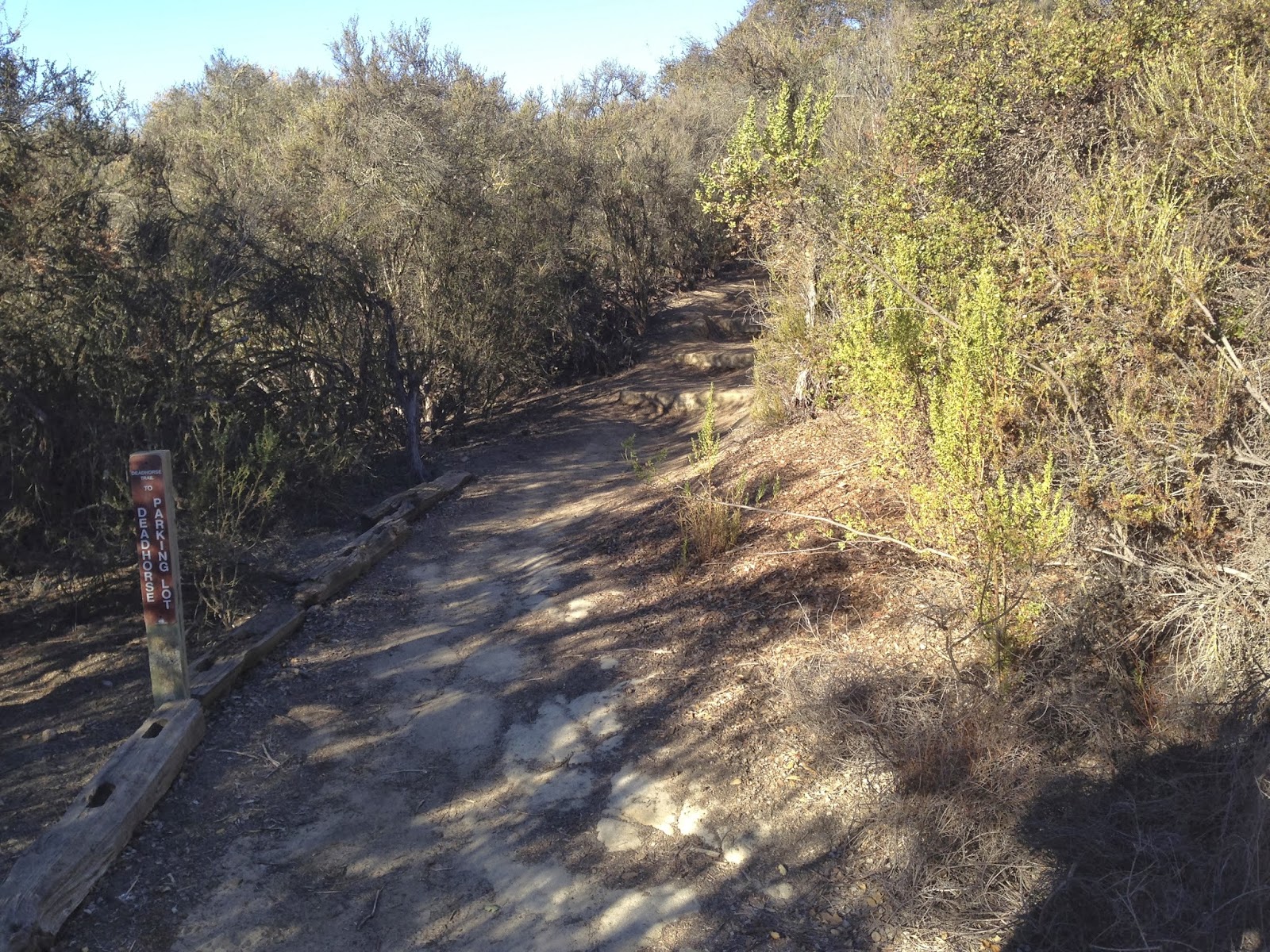 Hiking the Backbone Trail: Transitional Trails