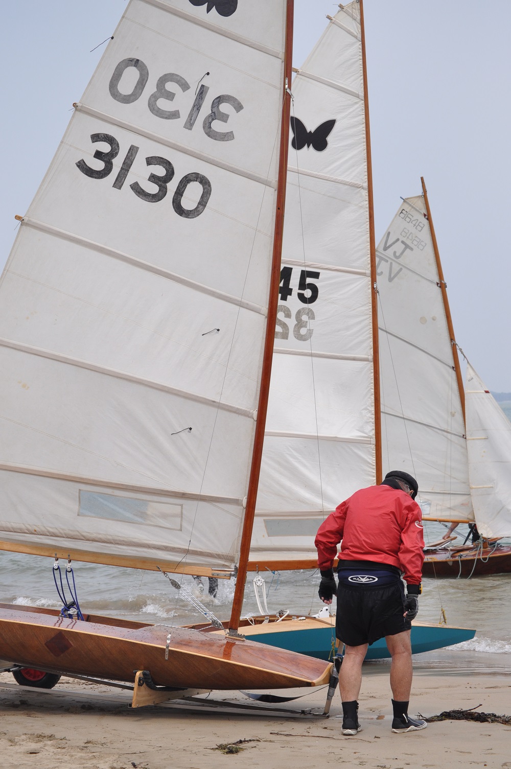Earwigoagin: Scow Moths at South Gippsland Classic Dinghy Regatta