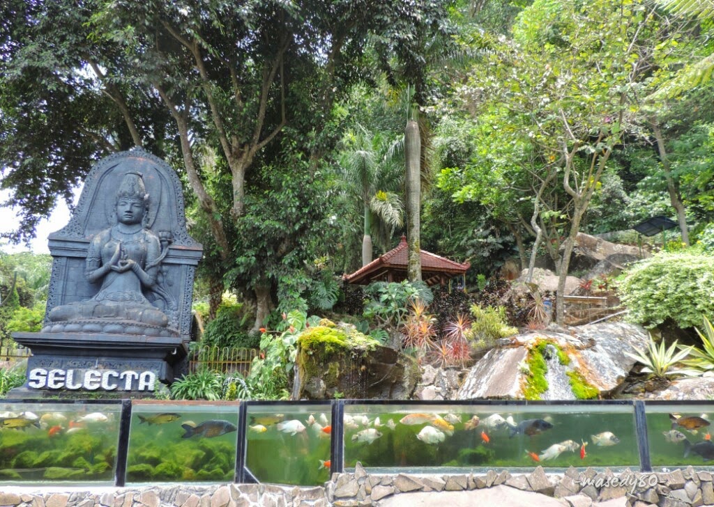 SELECTA: BUNGA-BUNGA DI MANA-MANA - alaMasEdy