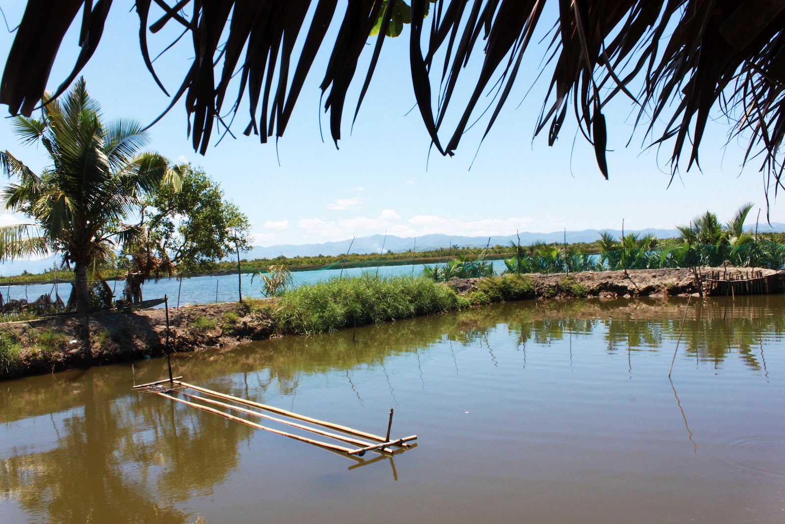Cherry Desuasido: Buguey, Cagayan