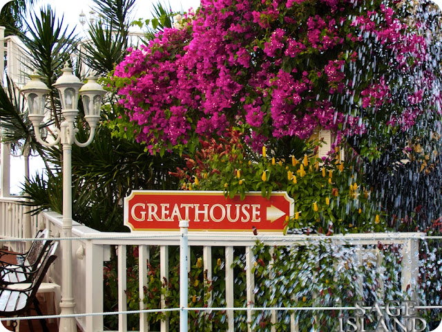 Sage Island: Botanical Garden on St Thomas