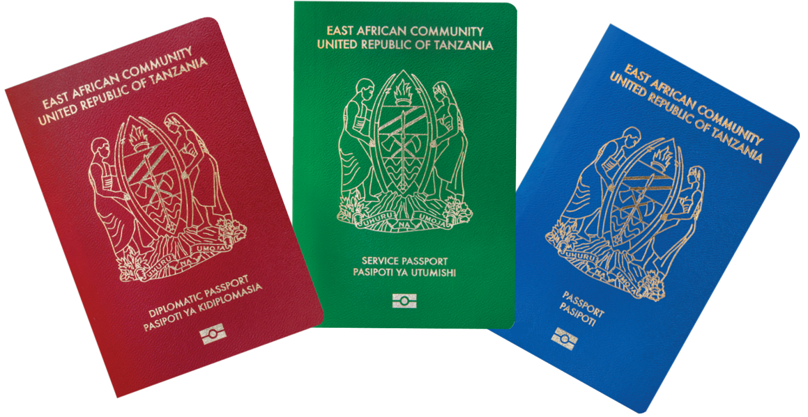 South Sudan ready to issue EAC digital passport: official | Pachodo.org