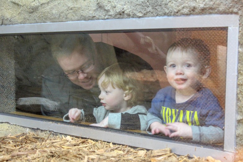 (Bee)autiful Blessings: Our Trip to the Boonshoft Museum of Discovery ...