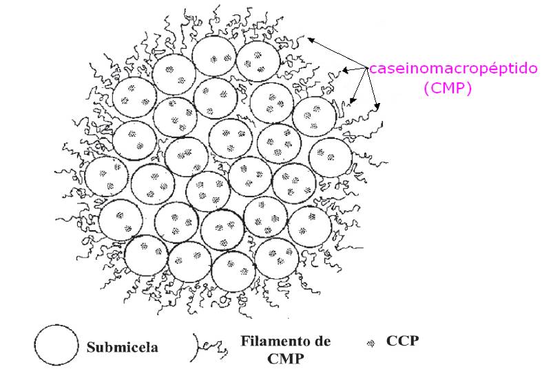 Quimica 2015: Proteínas I