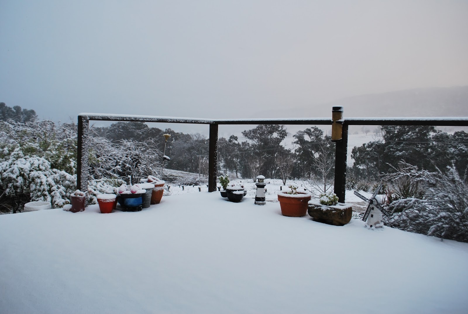 Out and About Cherry Dale: Snow at Cherry Dale Tenterfield