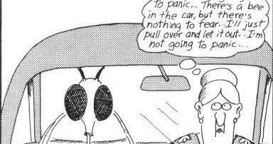 The Flip Side: Life After 40: Calm Down. It's Just a Bee