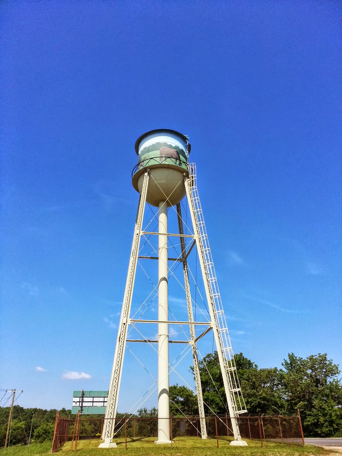 H2O - Water Towers, Etc.: Trip to Calvert Cliffs State Park in MD