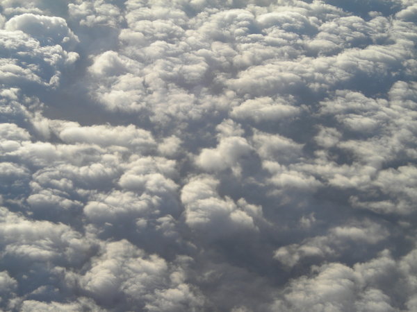 THE PAVILION: Riding on a Cloud