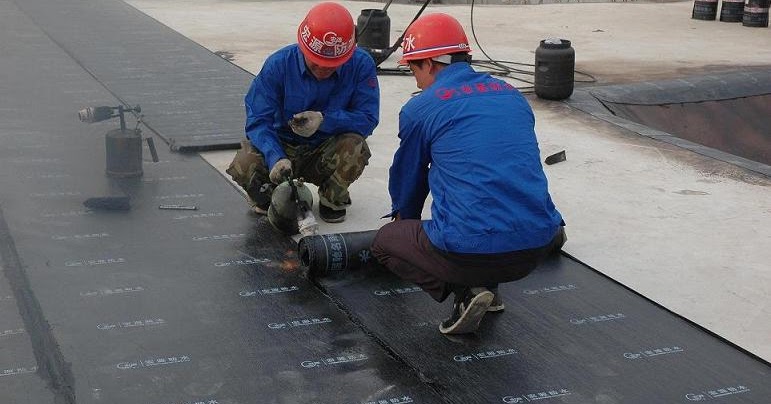 Best Online Waterproofing Services