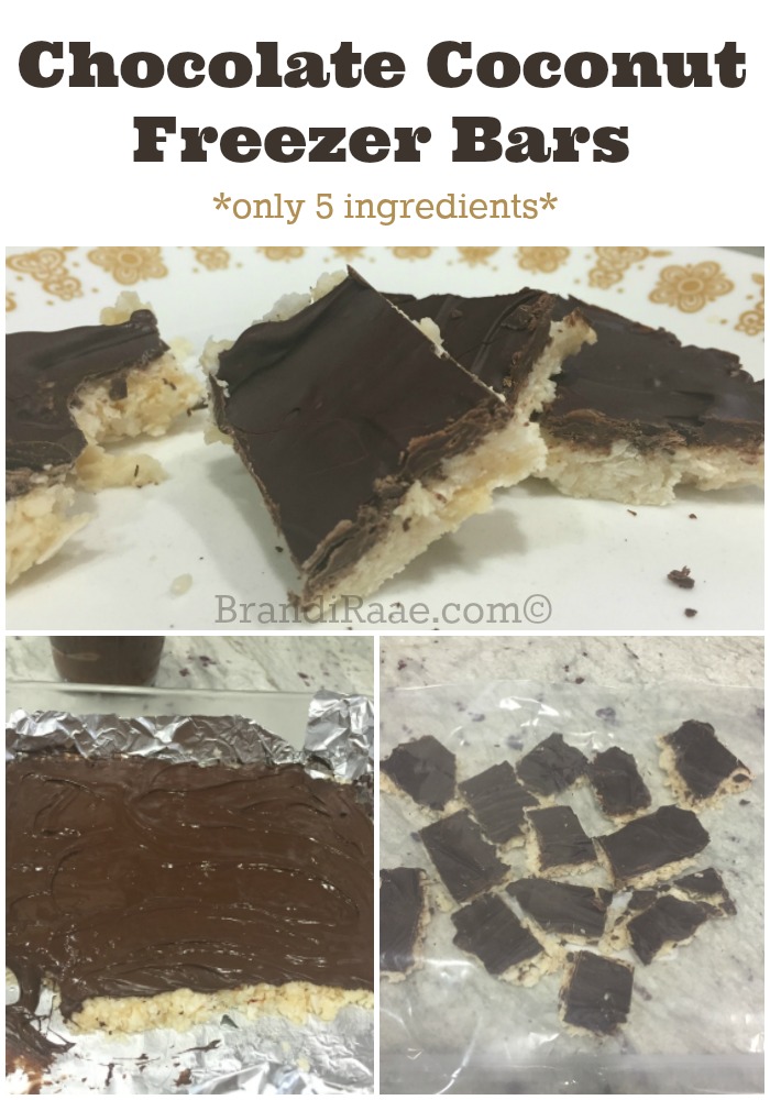 Brandi Raae: Chocolate Coconut Freezer Bars