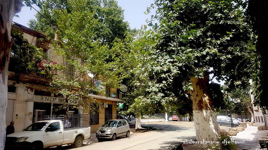 Le sel de la terre: Un long court séjour à Miliana