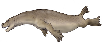 Los animales en la prehistoria: Animales prehistóricos con la letra A