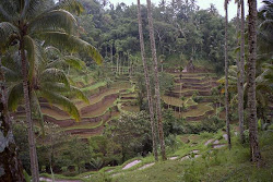 Yang Lebih Baik: ASUHAN KEBIDANAN PADA IBU HAMIL “ASD” G1P0000 UK 30 ...
