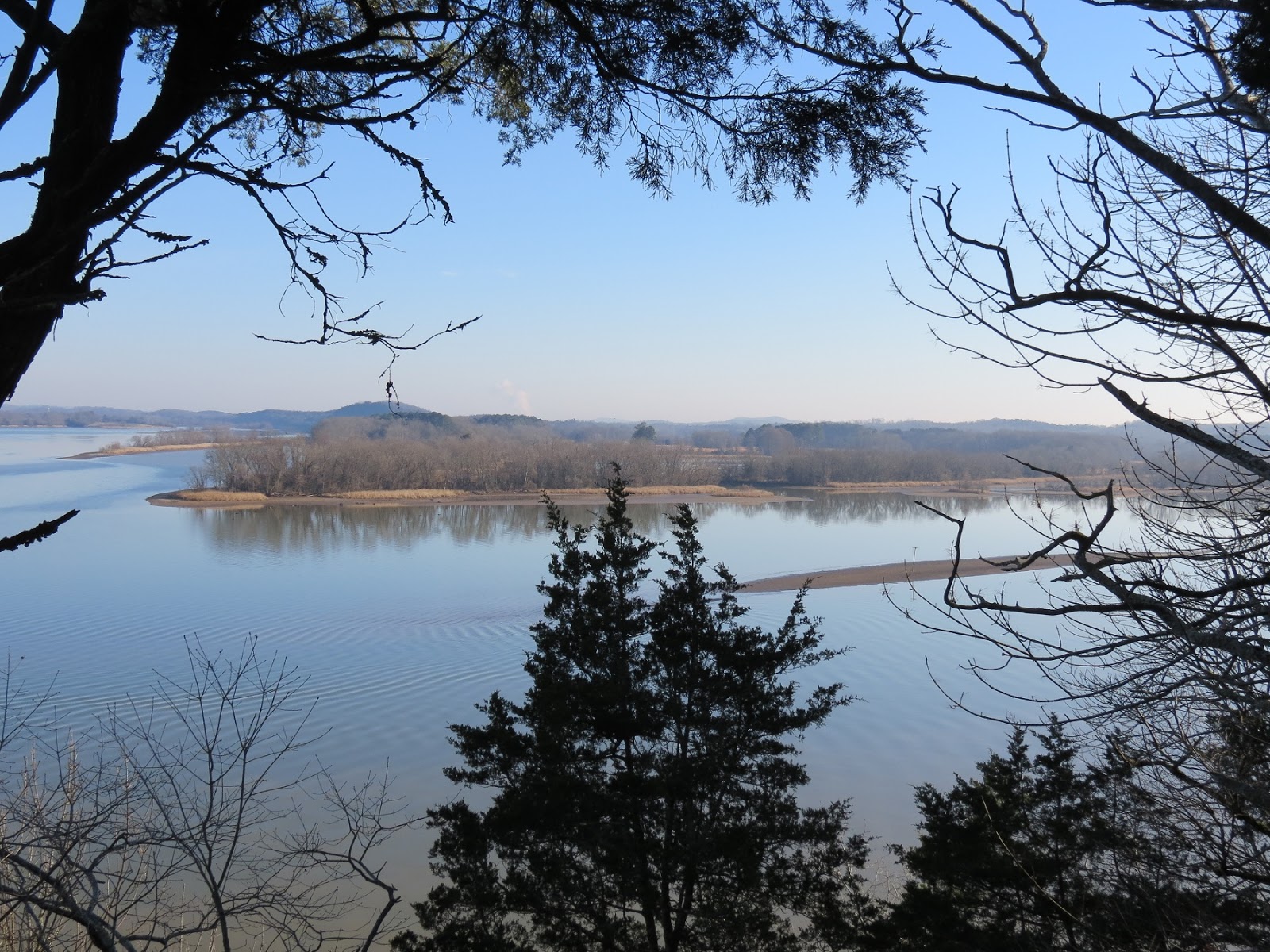 Viewing nature with Eileen: Hiwassee Wildlife Refuge