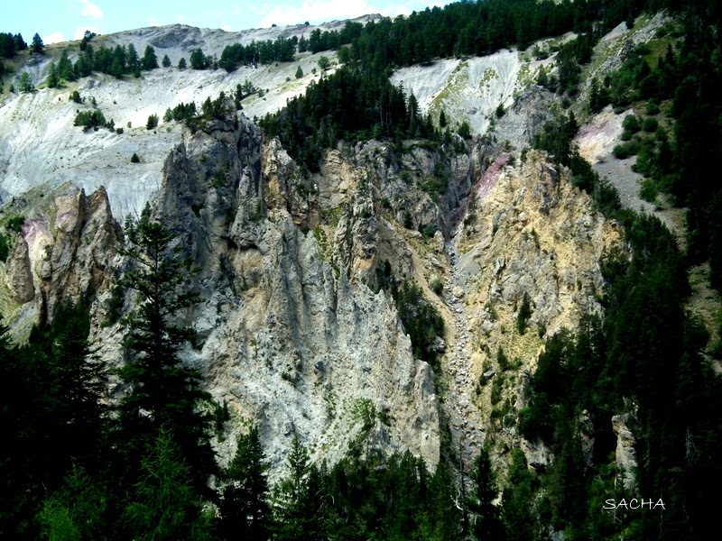 Un jour....Une photo !: Cheminer ensemble vers les sommets .....Mt Lozère